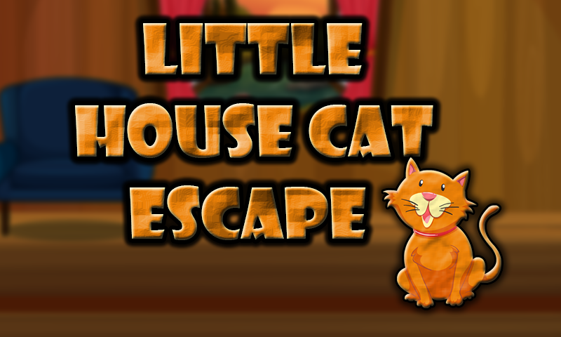 Little House Cat Escape